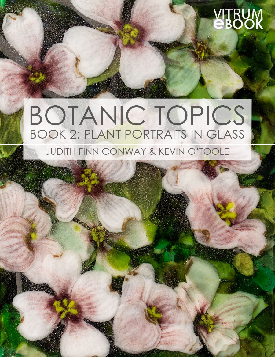 Ebook | Botanic Topics, Book 2: Plant Portraits in Glass - eBooks