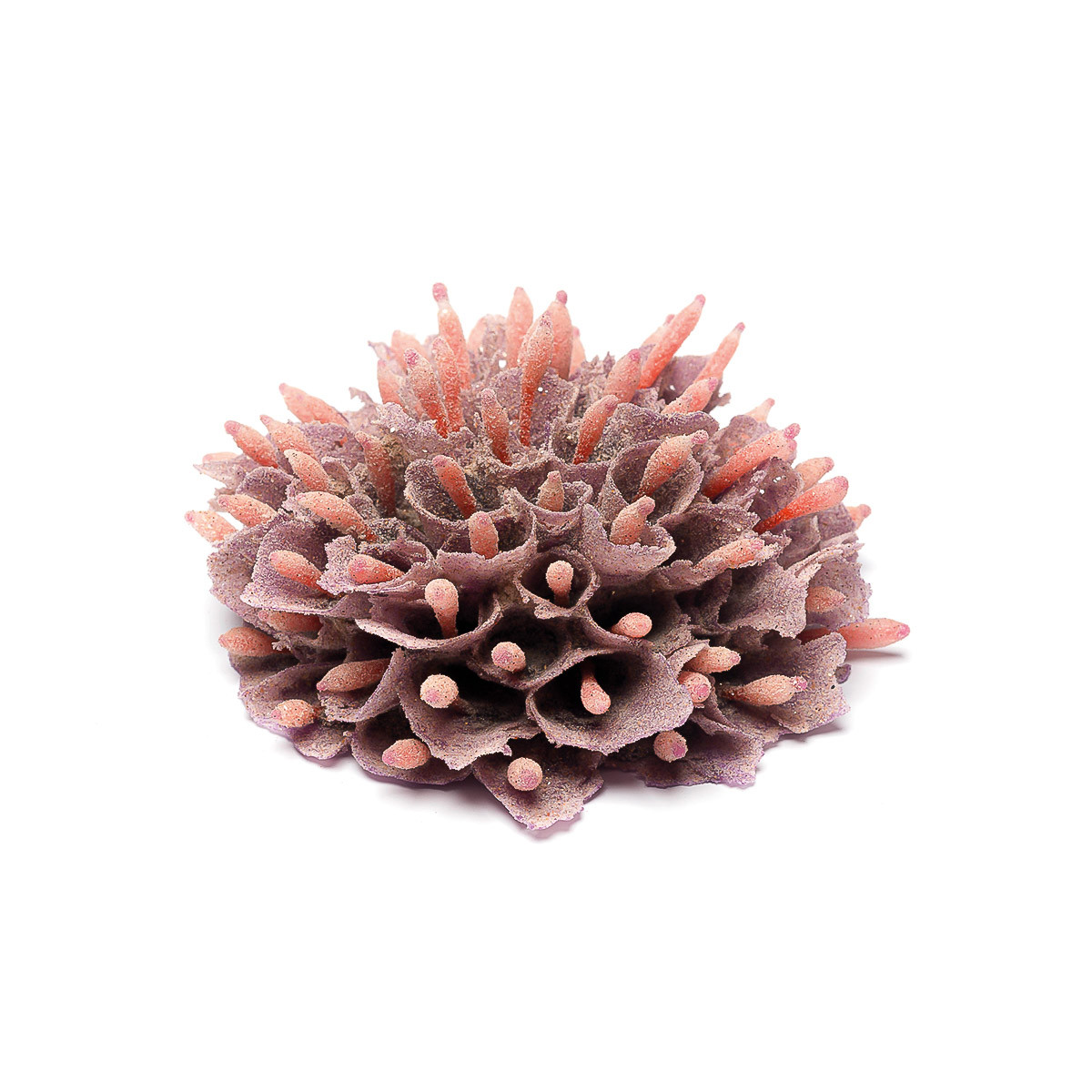 Ebook | Gelled Glass