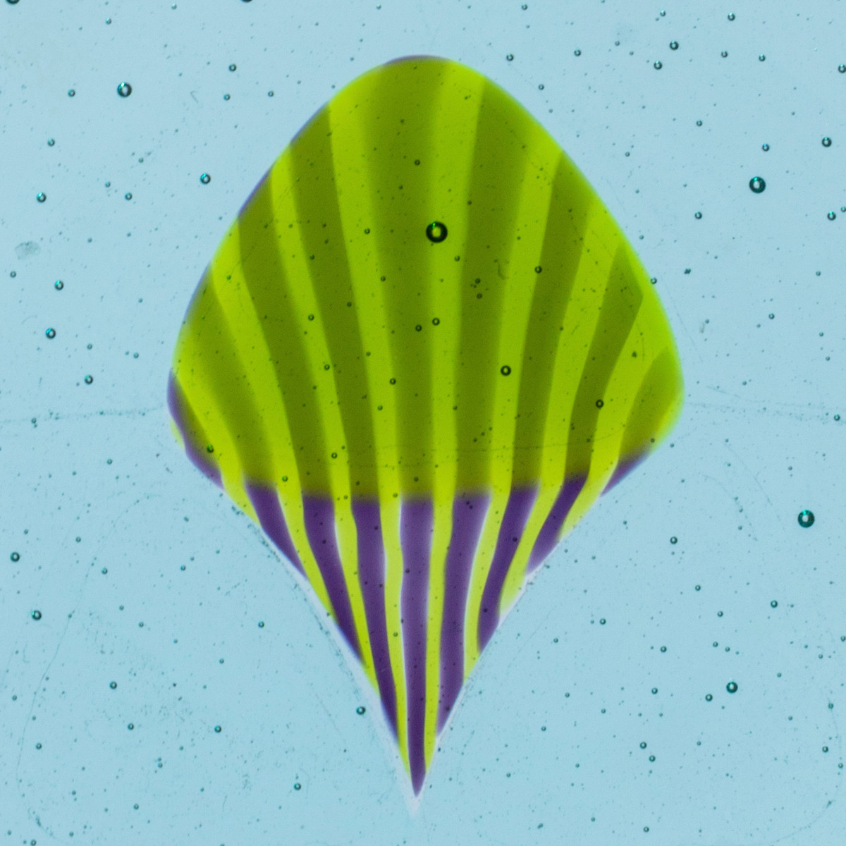 Optic Flora | Downloadable PDF Ebooks for Glass Fusing